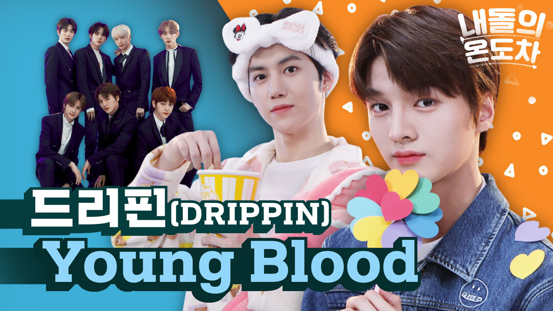 다음연예 | [내돌의 온도차] 드리핀 (DRIPPIN) - Young Blood