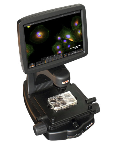 현미경+디카+LCD의 결합 ‘EVOS fl’ - 시장정보 - 가득마을