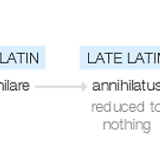 noxious,obnoxious,nocuous,innocuous,innocent,어원, noc-; nox-= poison