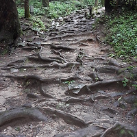 04화 쌀 창고에는 그들이 산다