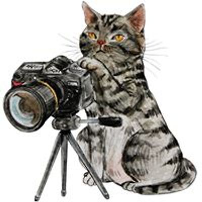 Ray Cat의 브런치