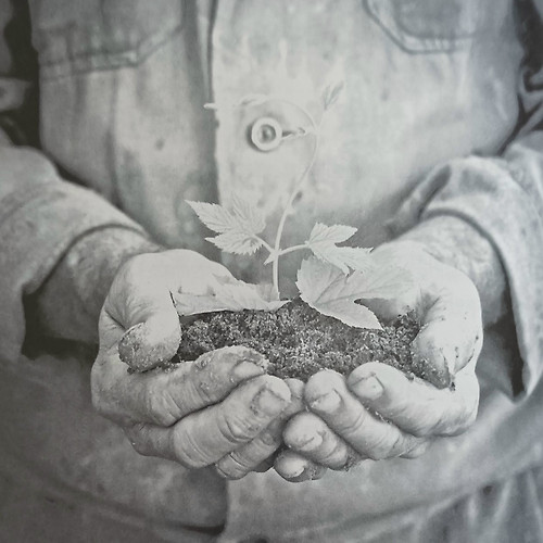 XIAT의 브런치스토리