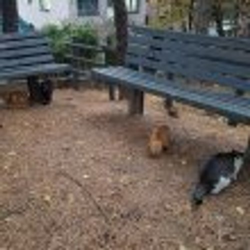 dhgn의 브런치스토리