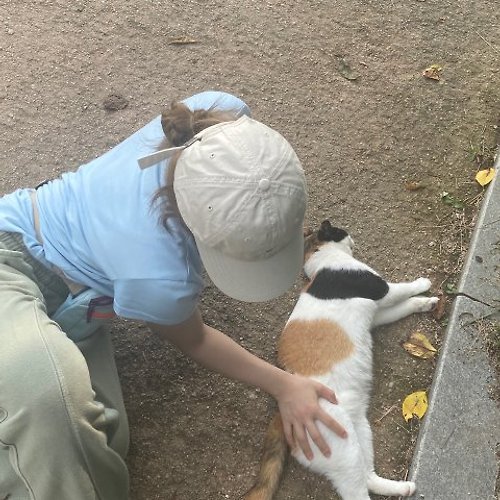 gujg의 브런치스토리