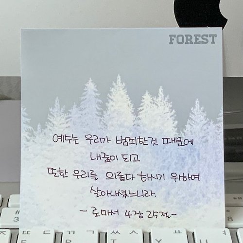 Nurim Kim 김누림의 브런치스토리