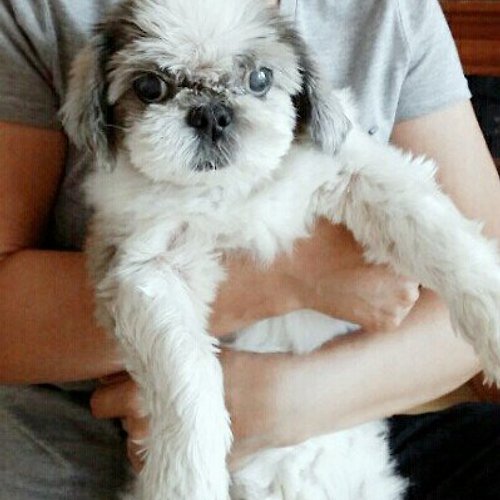 Jamie Yoo의 브런치스토리