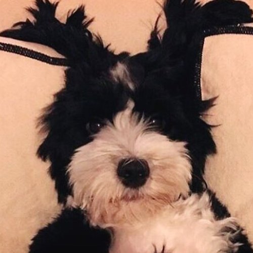 Biiii의 브런치스토리