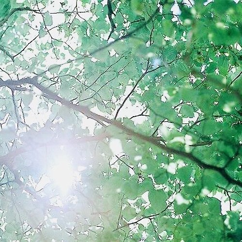 HJHJ의 브런치스토리