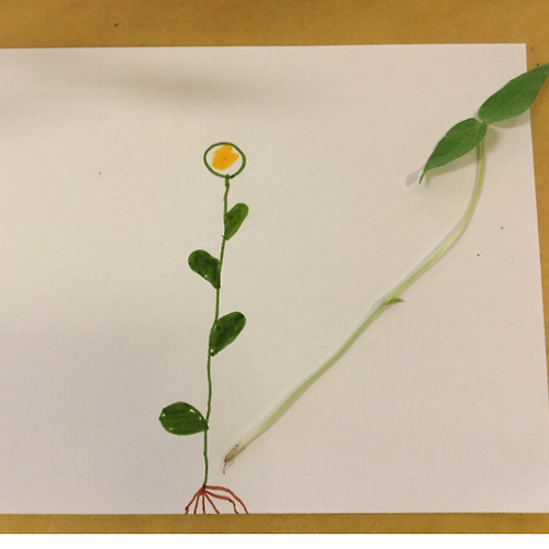 Isabella Hong 작가의 브런치스토리