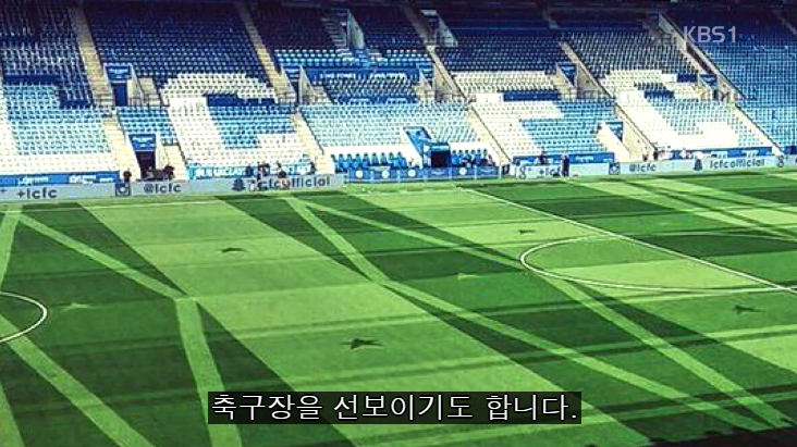 축구장 잔디색이 다른 이유 유머이슈 꾸르