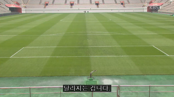 축구장 잔디색이 다른 이유 유머이슈 꾸르