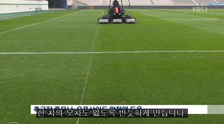 축구장 잔디색이 다른 이유 유머이슈 꾸르
