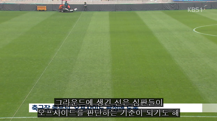 축구장 잔디색이 다른 이유 유머이슈 꾸르