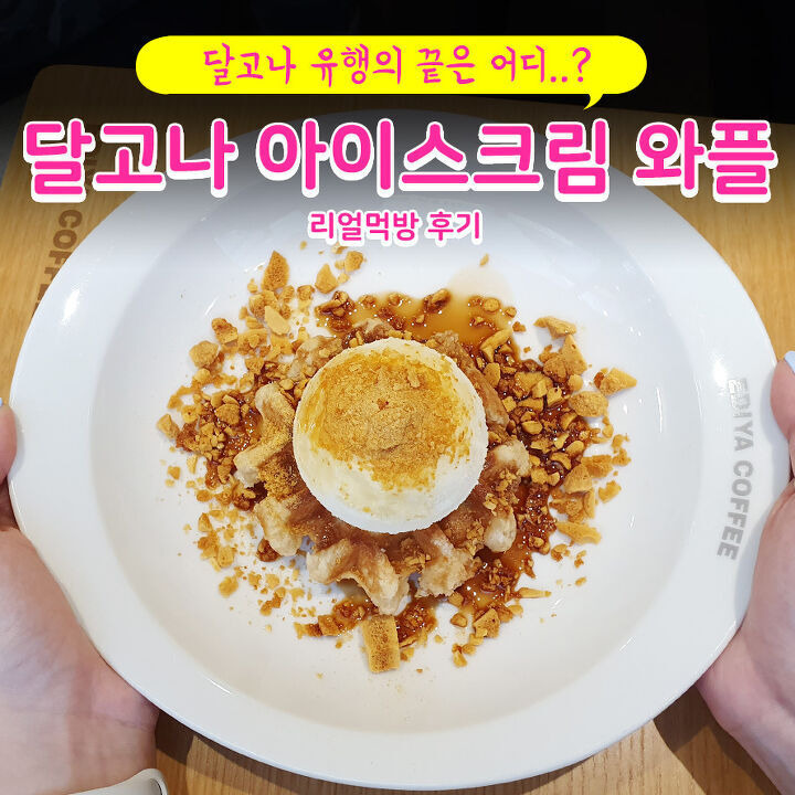 달고나 아이스크림 와플 유머이슈 꾸르