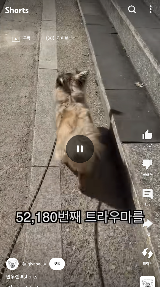 더쿠 못생긴 노을이 팝업 논란을 떠나 불호 포인트