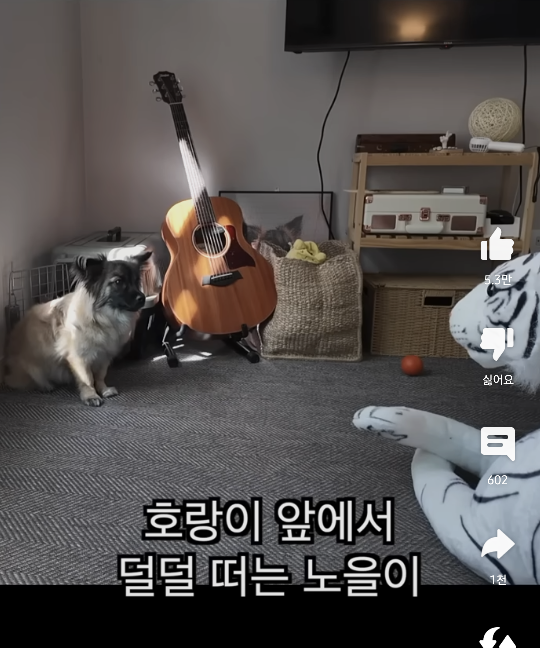 더쿠 못생긴 노을이 팝업 논란을 떠나 불호 포인트