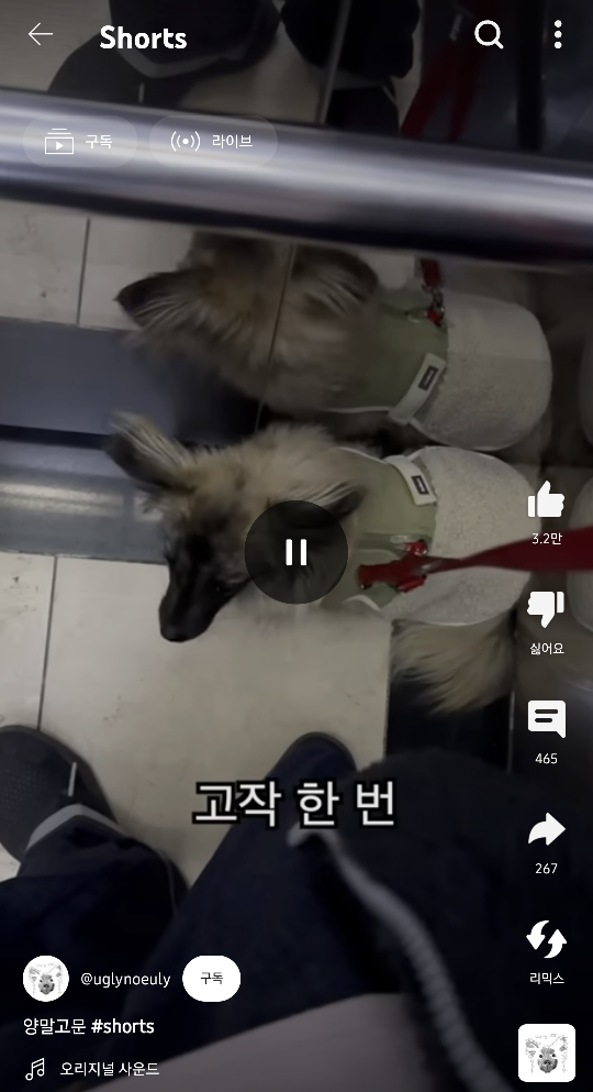 더쿠 못생긴 노을이 팝업 논란을 떠나 불호 포인트