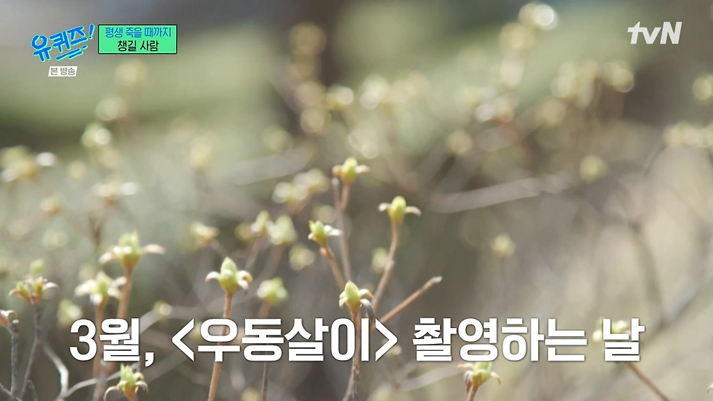 더쿠 유퀴즈 다시 태어난 걸 축하한다 너 오늘부터 세상이 달라 보일걸