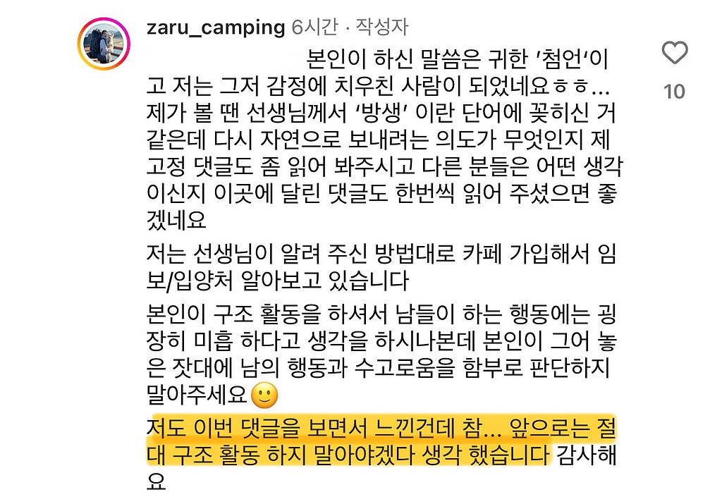 더쿠 오프리쉬로 강아지 잃어버렸던 유튜버 근황 고양이 구조 글 추가