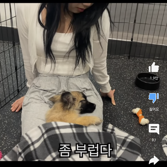더쿠 못생긴 노을이 팝업 논란을 떠나 불호 포인트
