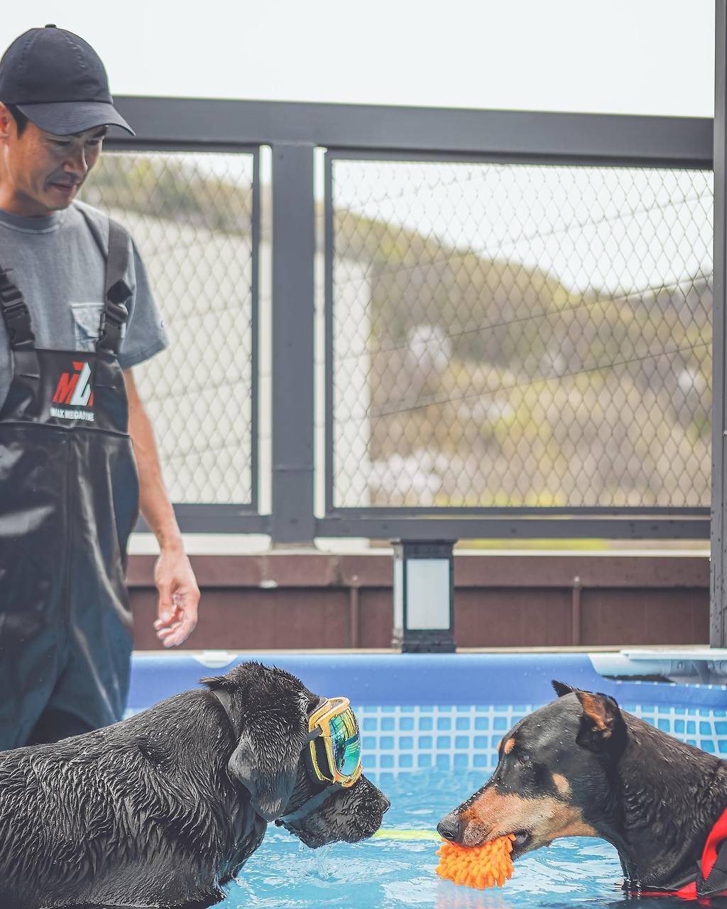 드래곤 플래그 배정남.jpg