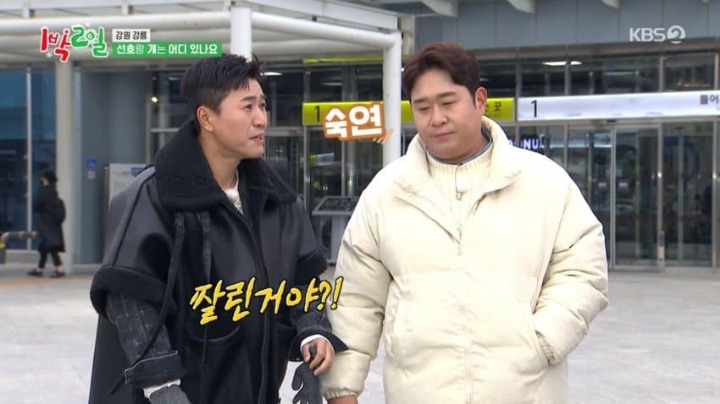 1박2일 딘딘 디스 - 방송/연예 - 꾸르