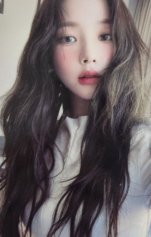 연예거중기 수집욕 생기는 여자아이돌 포카 Daum 카페
