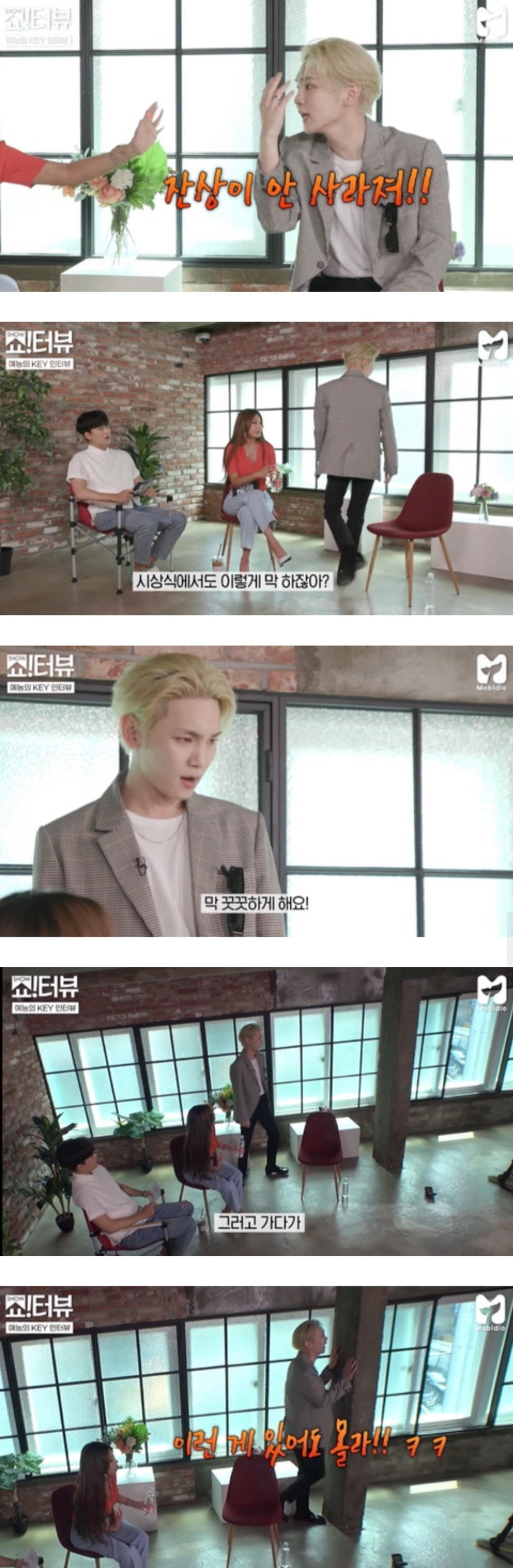 연예거중기 어제자 제발회에서 카메라 플래시 폭탄받은 오늘도 사랑스럽개 강아지 Daum 카페