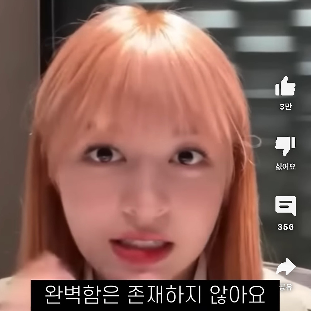 연예거중기 엔믹스 외모 때문에 괴롭힘당하는 팬을 본 릴리 Daum 카페
