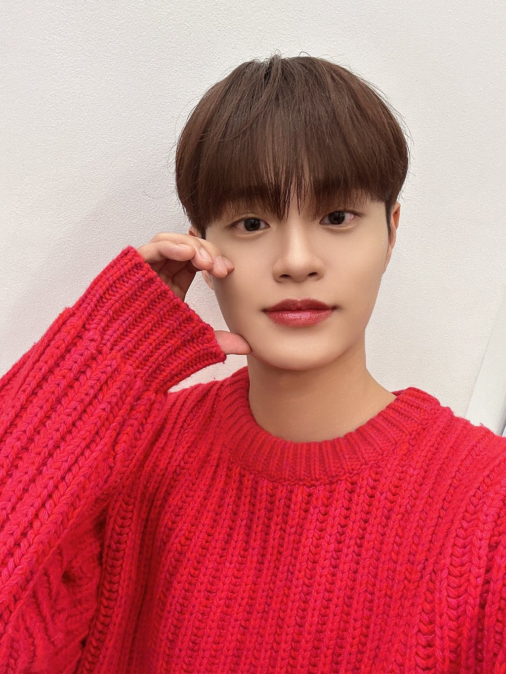 연예거중기 탕후루립 정보 요청 터지는 아이돌 Daum 카페