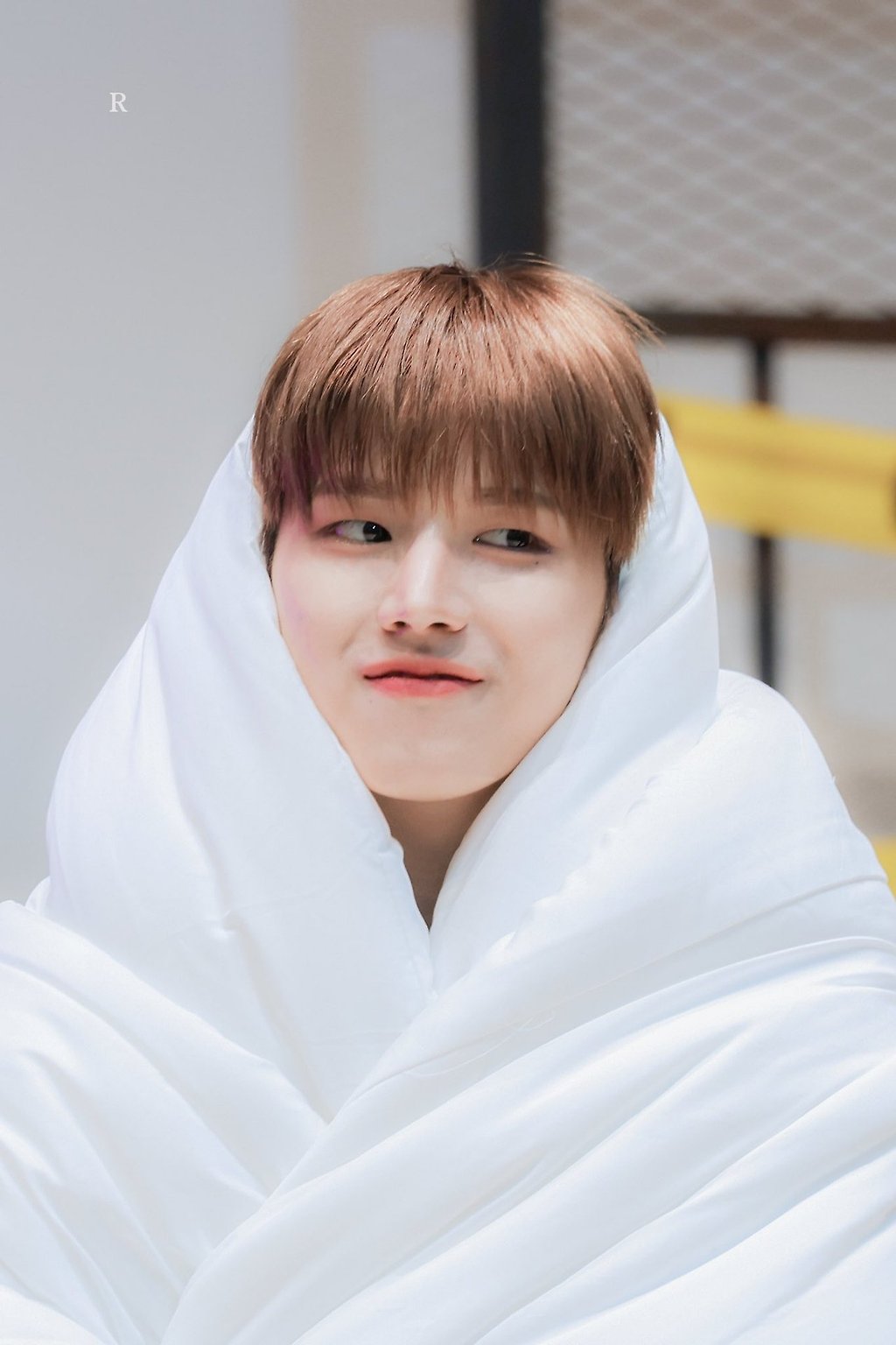 연예거중기 요즘 돌판 사이에서 유행이라는 신박한 팬싸템 Daum 카페