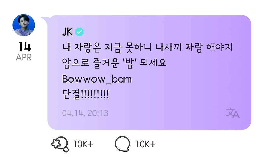 연예거중기 반려견 밤이 인스타 계정 만든거 같다는 방탄소년단 정국 Daum 카페
