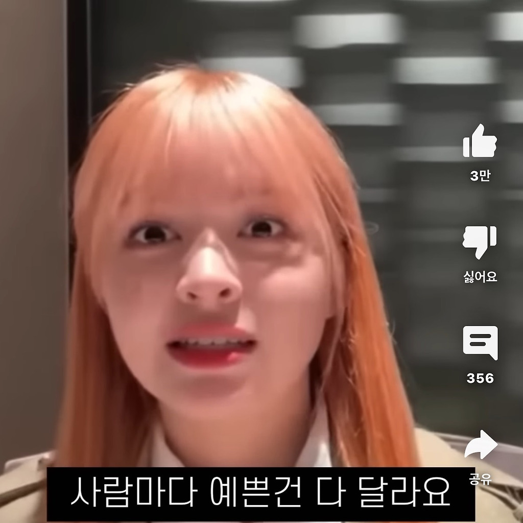 연예거중기 엔믹스 외모 때문에 괴롭힘당하는 팬을 본 릴리 Daum 카페