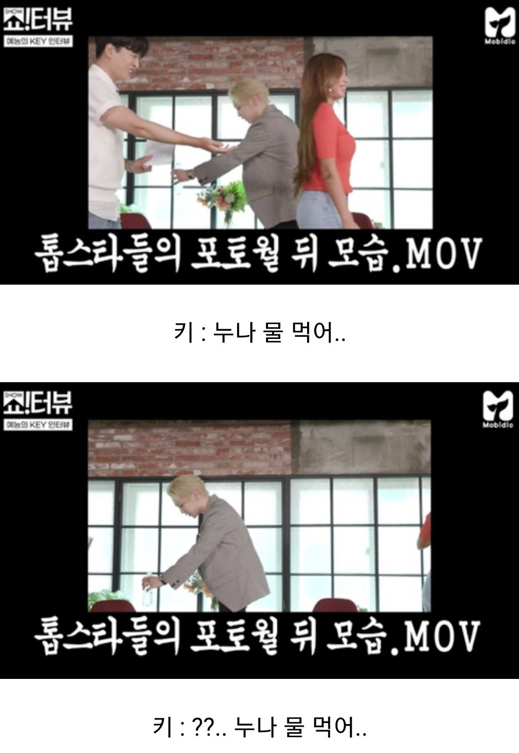 연예거중기 어제자 제발회에서 카메라 플래시 폭탄받은 오늘도 사랑스럽개 강아지 Daum 카페
