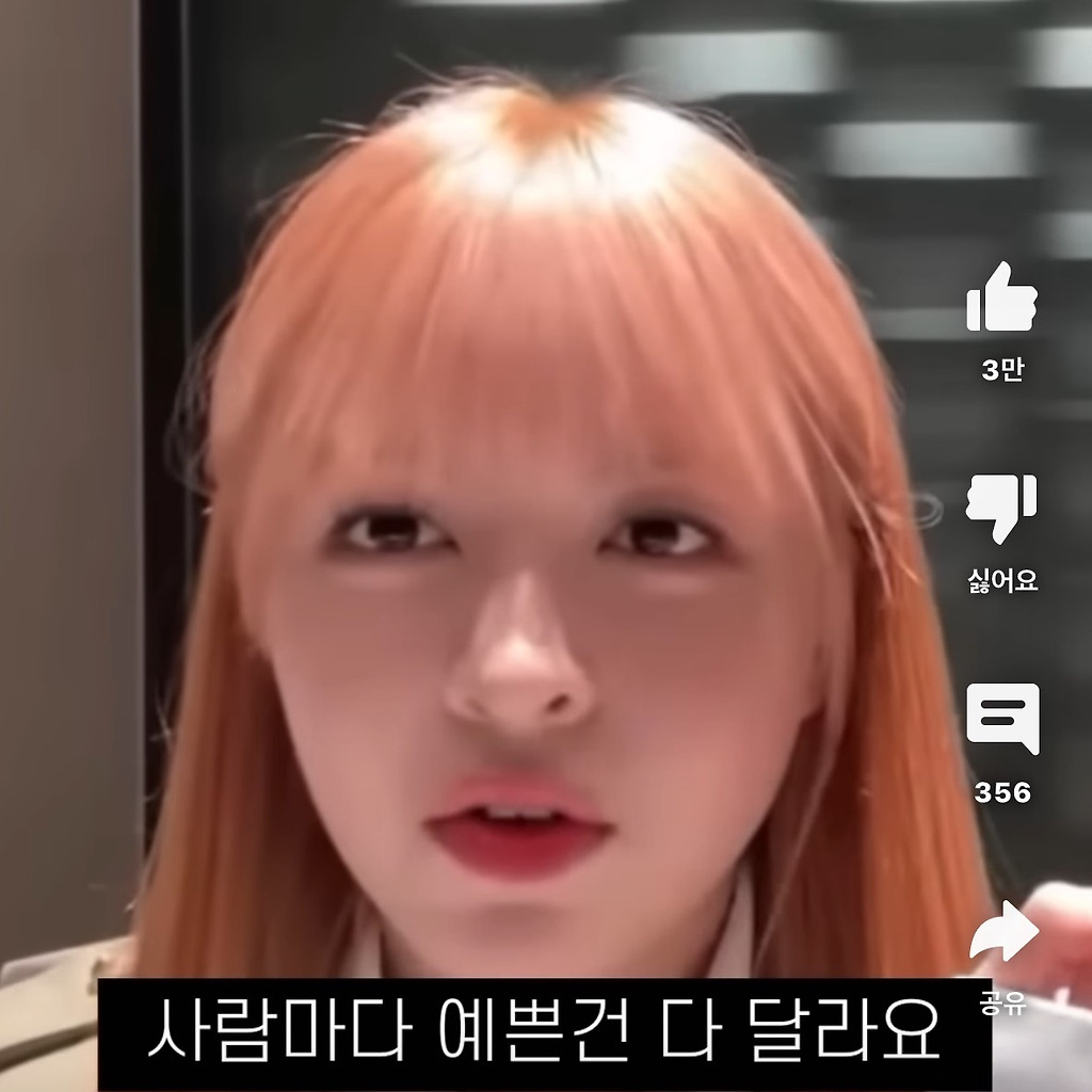 연예거중기 엔믹스 외모 때문에 괴롭힘당하는 팬을 본 릴리 Daum 카페