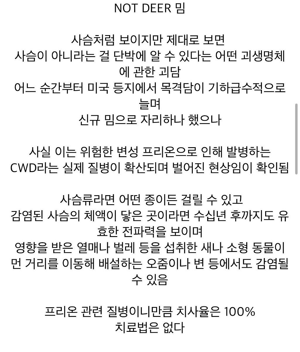 열린괴담회 해외에서 한때 유행했던 괴담 Daum 카페