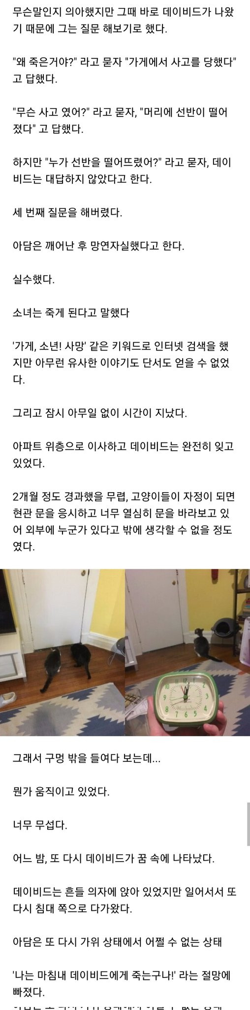 열린괴담회 사진주의 친애하는 데이비드 Daum 카페