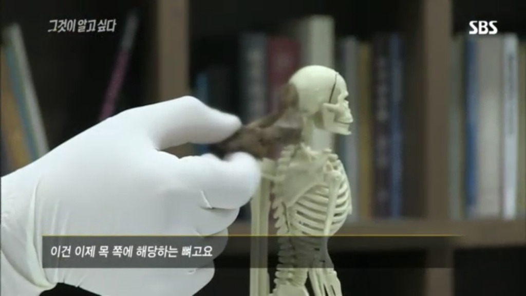 열린괴담회 심야괴담회 나온 유명 흉가 ＜안경공장＞ 을 그냥 일반 흉가정도로 생각하면 안되는 이유 Daum 카페