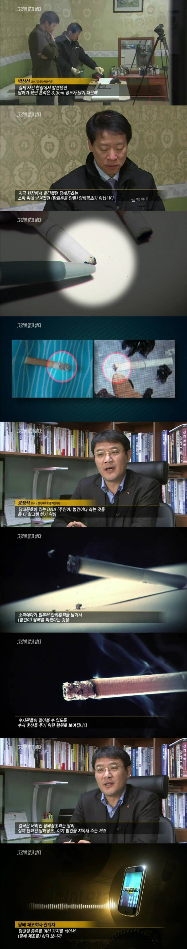 열린괴담회 펌 그것이 알고 싶다 현재 다시보기 불가능 Daum 카페