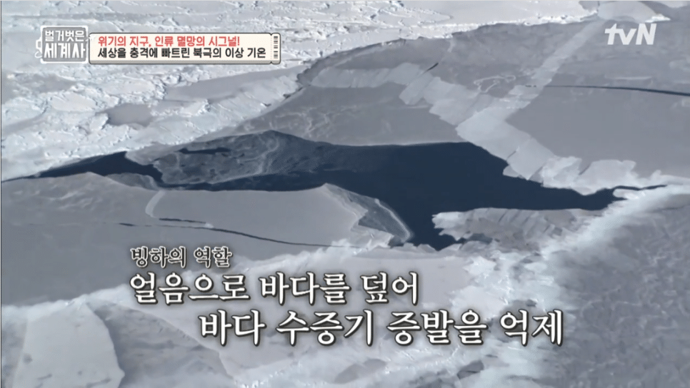 지구야 미안해 2040년에 지구 망한다고 하면 코웃음 치는 사람들이 있는데 진짜 심각하게 시그널 보내고 있는 지구스압