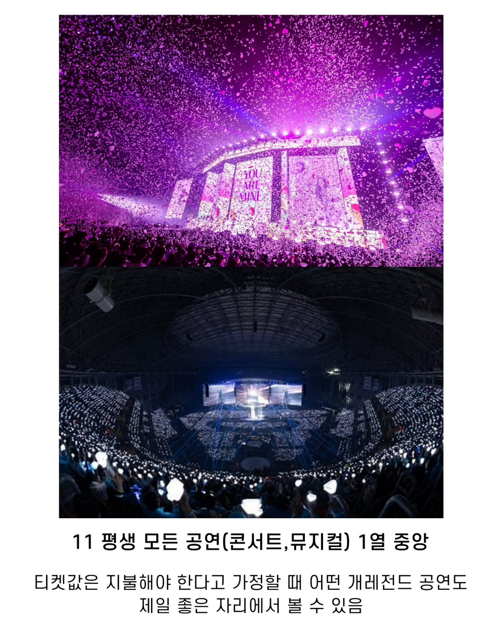 환장의 밸런스 게임 평생 모든 공연콘서트 뮤지컬 1열 중앙 Vs 비행기 좌석 이코노미 가격에 퍼스트 클래스 Daum 카페