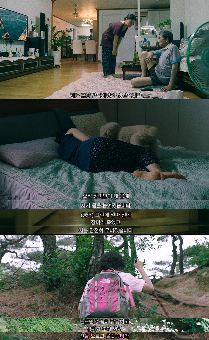 요즘 OTT 뭐봄? | 불륜남 현실적으로 풀어내는 LTNS - Daum 카페