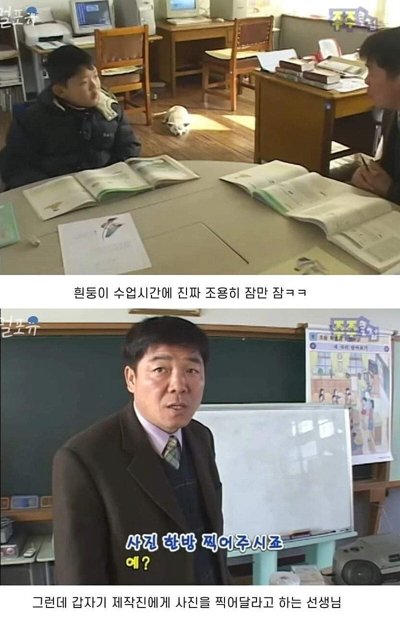 판and톡 학교에 강아지 데리고 등교하는 초등학생 Daum 카페