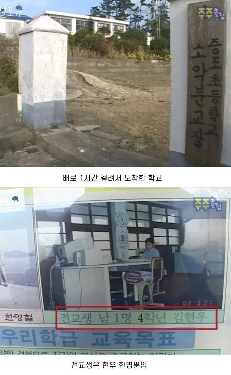 판and톡 학교에 강아지 데리고 등교하는 초등학생 Daum 카페