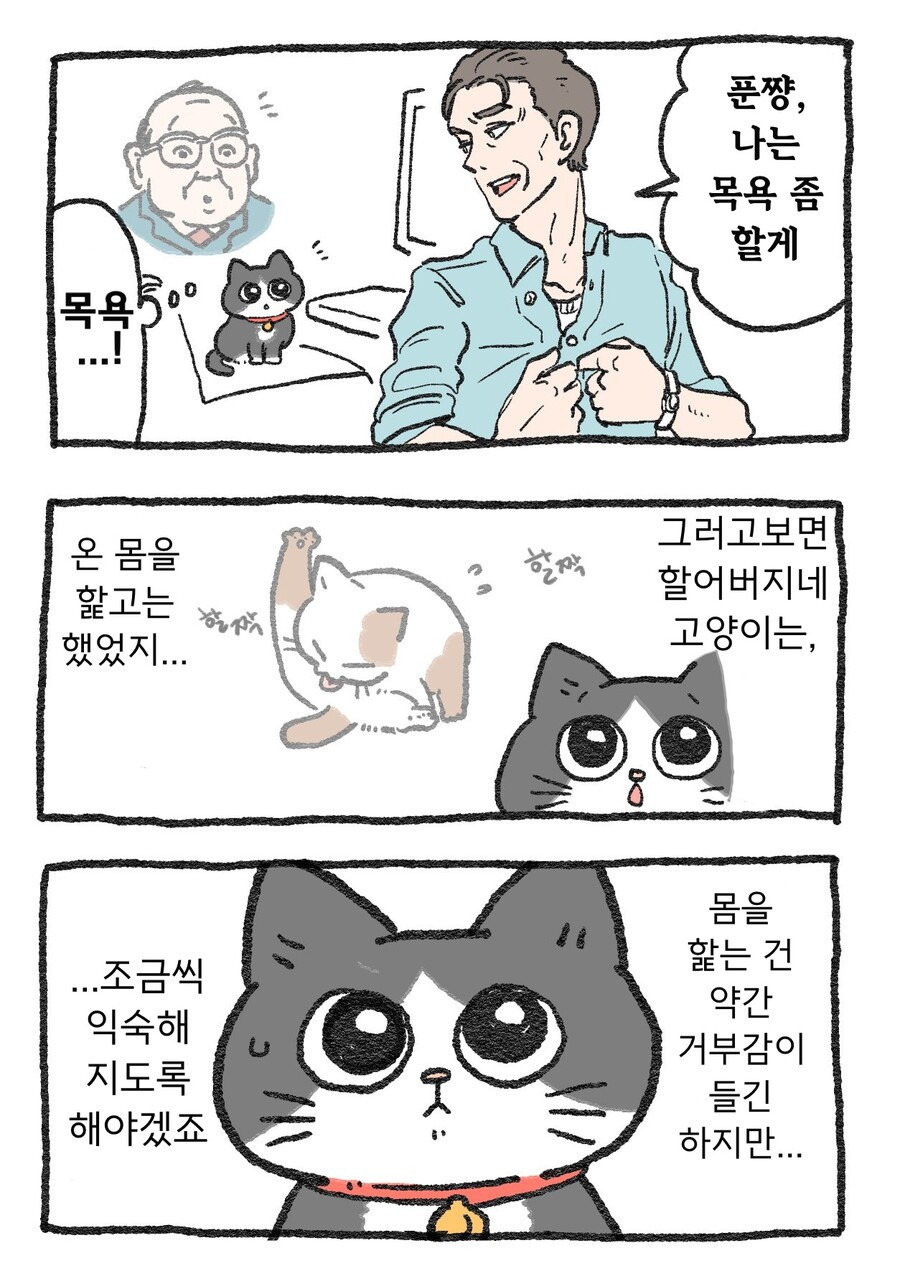 고양이는 정말 귀여워 고양이로 환생한 아저씨 만화 Daum 카페