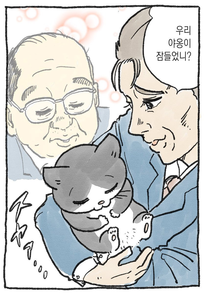 고양이는 정말 귀여워 고양이로 환생한 아저씨 만화 Daum 카페