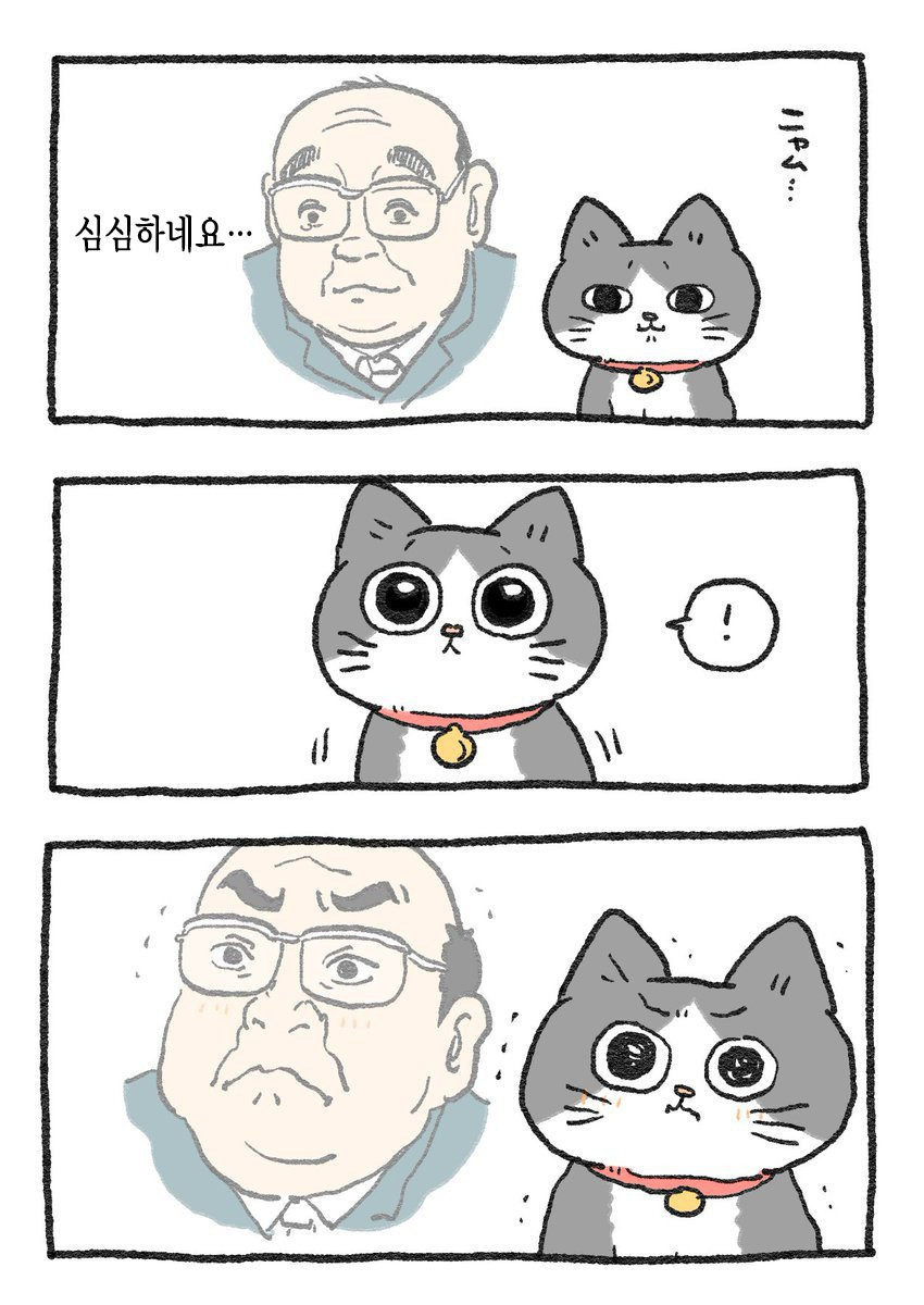 고양이는 정말 귀여워 고양이로 환생한 아저씨 만화 Daum 카페