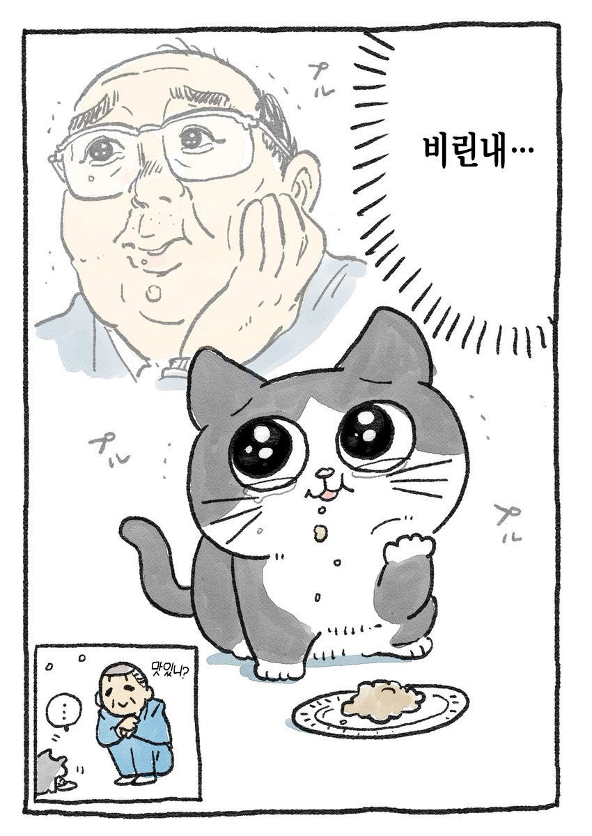 고양이는 정말 귀여워 고양이로 환생한 아저씨 만화 Daum 카페