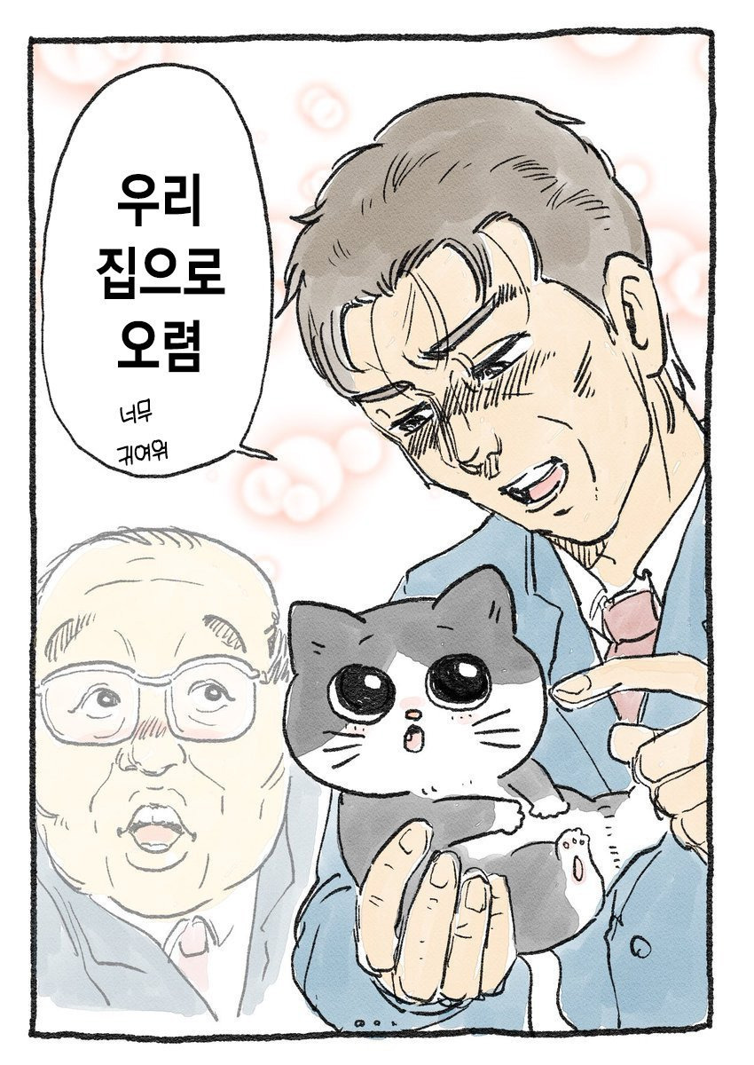 고양이는 정말 귀여워 고양이로 환생한 아저씨 만화 Daum 카페