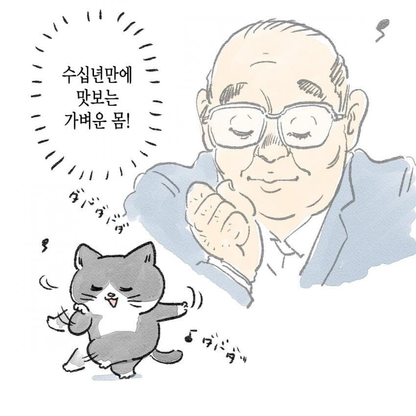 고양이는 정말 귀여워 고양이로 환생한 아저씨 만화 Daum 카페